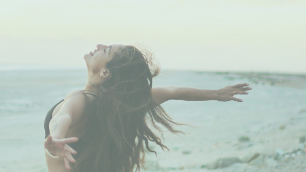 Human Design 5/1 Profil im Beruf & Business